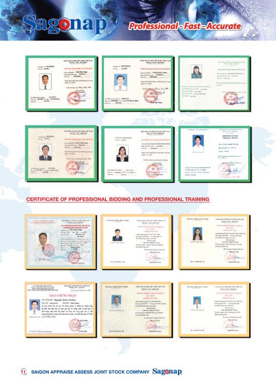 Capacity profile - SAIGON APPRAISE ASSESS COMPANY